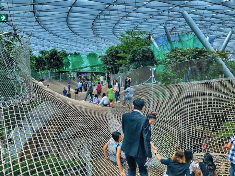 Singapore: Discover Jewel Changi Guided Tour - Key Points