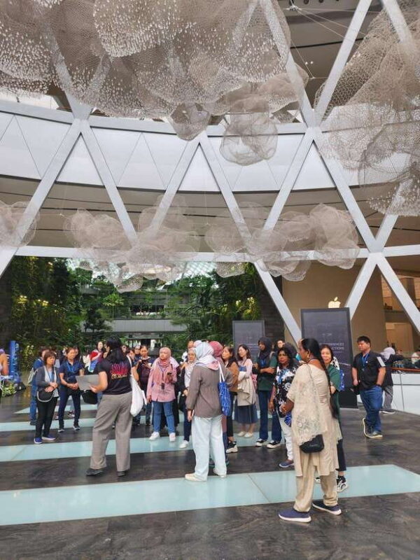 Singapore: Discover Jewel Changi Guided Tour - Why This Tour Stands Out