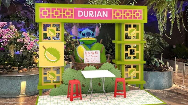 Singapore: Disney Garden of Wonder at Floral Fantasy - FAQ