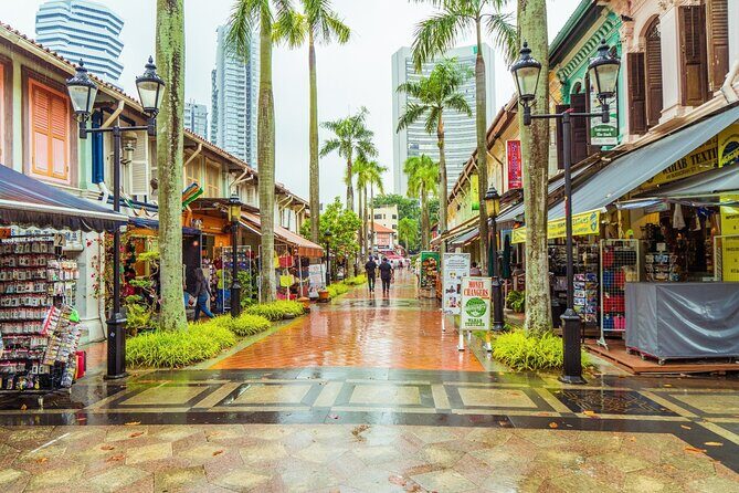 Singapore Essence City Tour With Roundtrip Transfers - A Close Look at the Itinerary