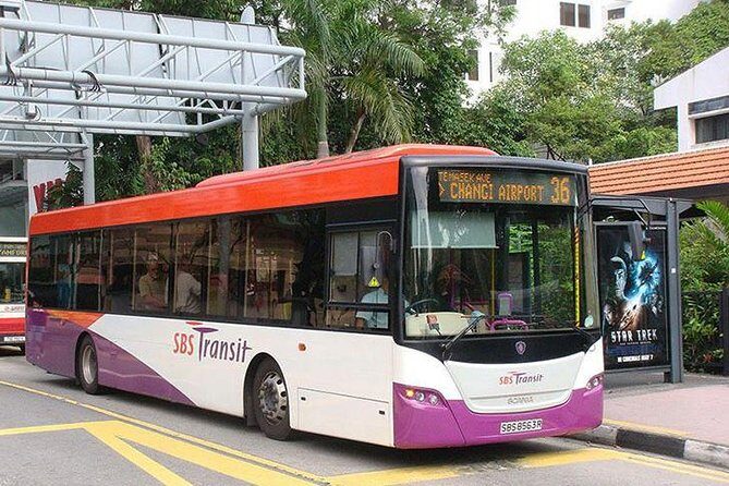 Singapore Ez-link Card (SG Airport Pickup) - Overview: Getting Your EZ-Link Card at the Airport