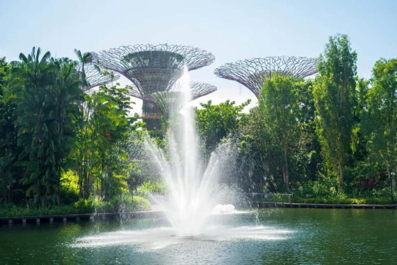 Singapore Full-Day Private Tour : Icons and Insights - What’s Included and What to Budget For