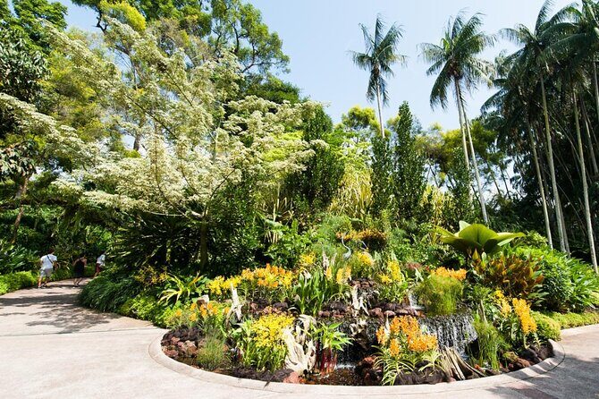 Singapore Garden City Experiences with Stunning Parks Views - Why This Tour Offers Good Value