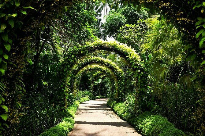 Singapore Garden City Experiences with Stunning Parks Views - Who Will Benefit Most?