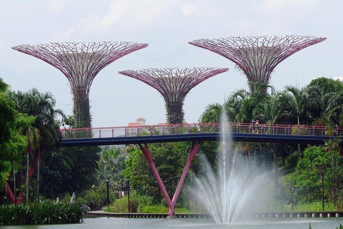 Singapore: Gardens by the Bay Admission E-Ticket - What Makes This Tour Stand Out?