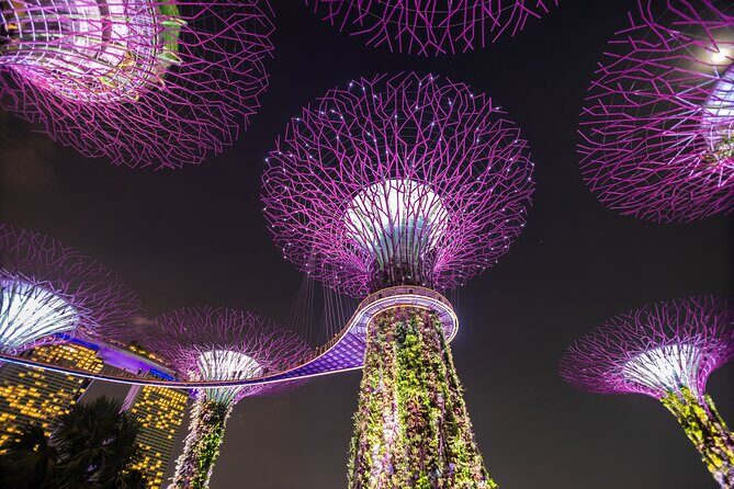 Singapore Gardens by the Bay Admission Skip-The-Line E-Ticket - Who Is This Tour Best For?