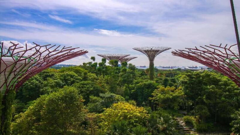 Singapore: Gardens by the Bay Bundle Entry Ticket - A Deep Dive into Gardens by the Bay