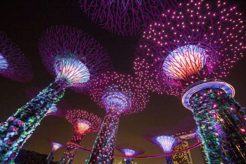 Singapore: Gardens by the Bay Bundle Entry Ticket - Who This Experience Fits Best