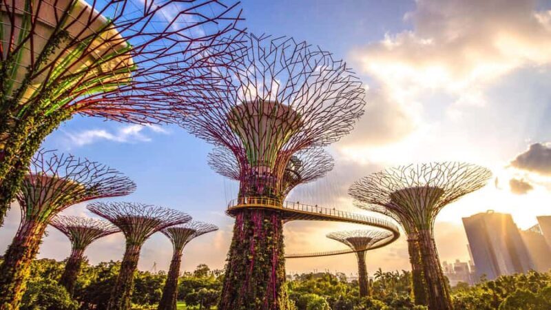 Singapore: Gardens by the Bay - Floral Fantasy - Who Should Visit Floral Fantasy?