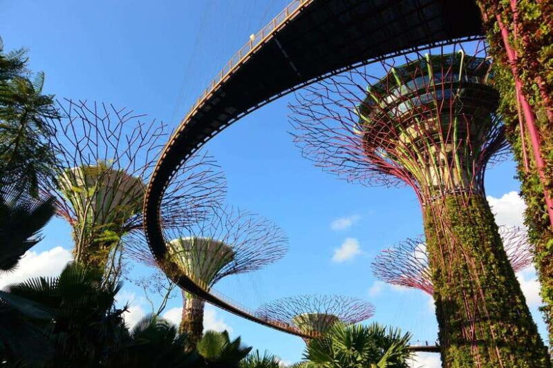 Singapore: Gardens by the Bay Guided Tour/Photography - Why Choose the Gardens by the Bay Guided Tour?