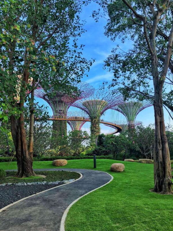 Singapore: Gardens by the Bay Guided Tour - The Itinerary in Detail