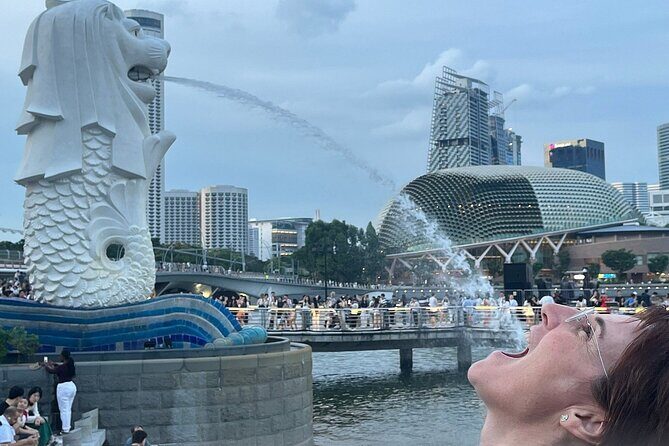 Singapore Guided Night Tour with 2 Light Shows & River Cruise - Final Verdict