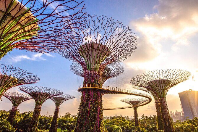 Singapore Half Day City Tour w Skypark and Gardens By The Bay - The Tour Itinerary: What to Expect