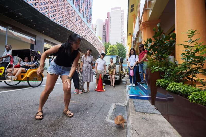 Singapore: Little India Culture and Food Experiential Tour - The Value Proposition