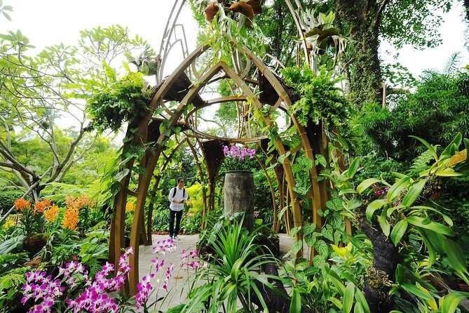 Singapore: National Orchid Garden Admission Ticket - An In-Depth Look at the Experience and Its Highlights