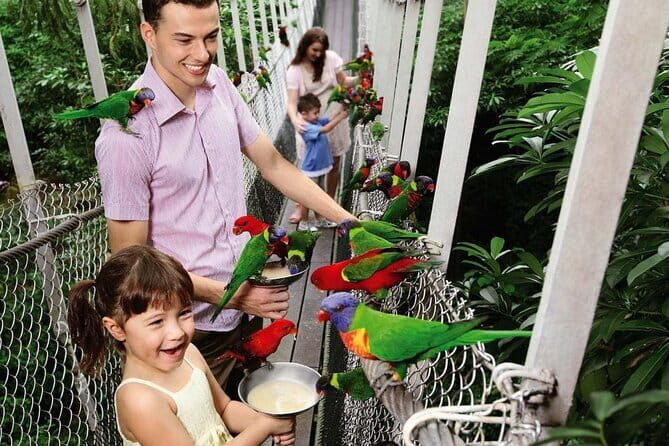 Singapore Night Safari Admission Voucher and Tram Ride Experience - Who Will Love This Tour?