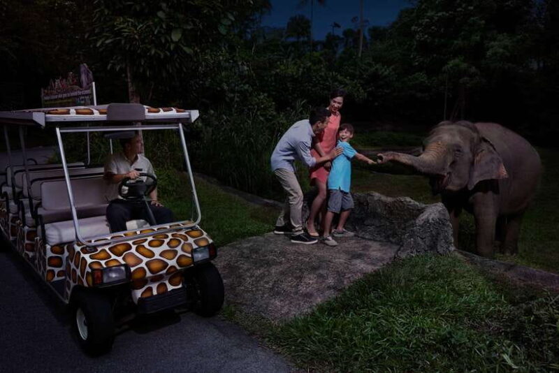 Singapore: Night Safari and Tram Ride Ticket - Key Points