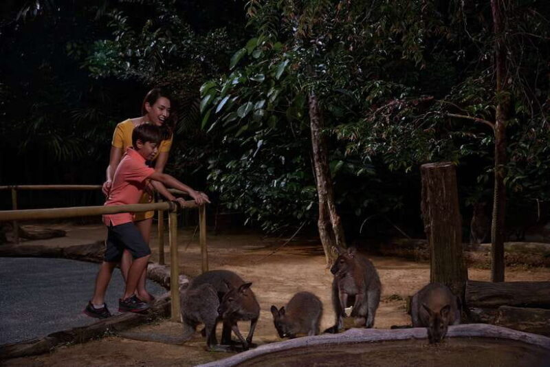 Singapore: Night Safari and Tram Ride Ticket - The Sum Up
