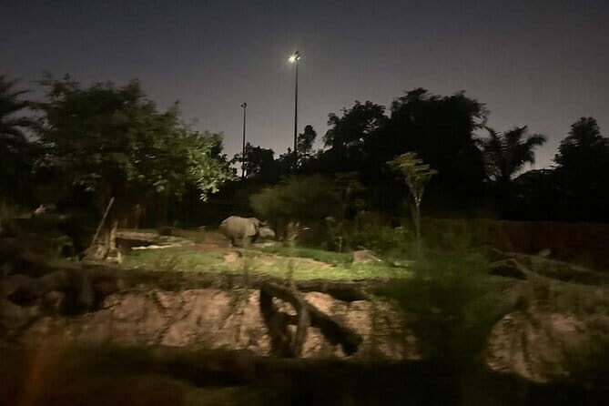 Singapore Night Safari - Detailed Breakdown of the Experience