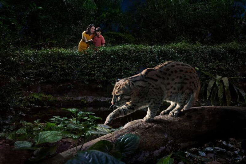 Singapore: Night Safari Singapore w/ Tram - A Deep Dive into the Night Safari Experience