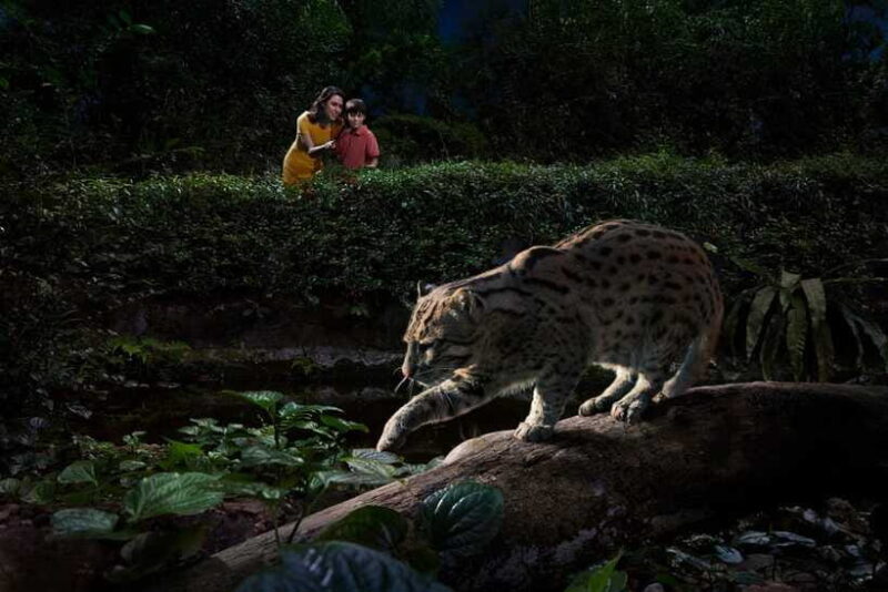 Singapore: Night Safari Singapore w/ Tram - FAQ