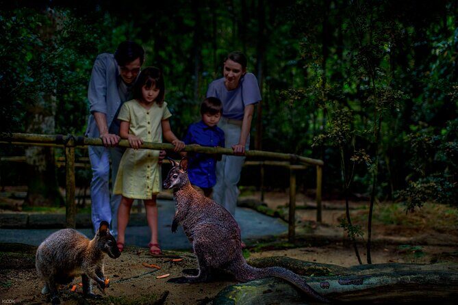 Singapore Night Safari Ticket Experience - The Value for Travelers