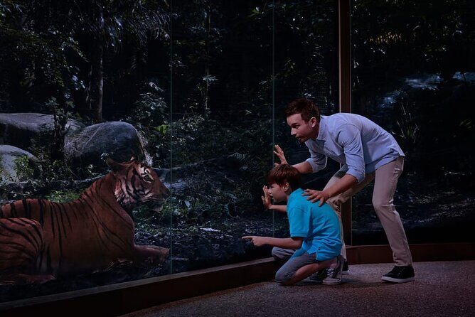 Singapore Night Safari Ticket Experience - The Sum Up: Is the Night Safari Worth It?