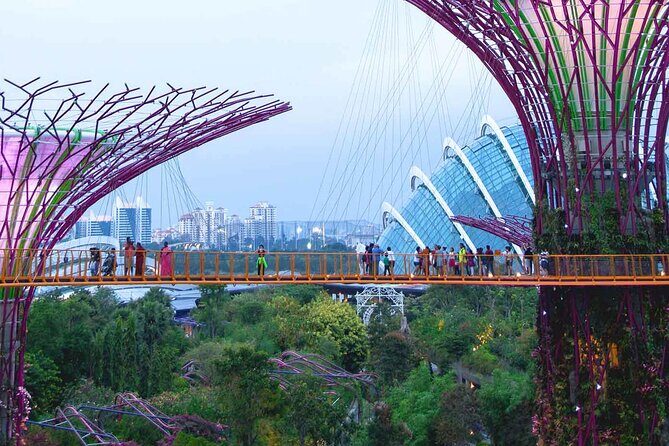 Singapore OCBC Skyway Flower dome Cloud Forest Garden by the Bay - The Itinerary in Detail