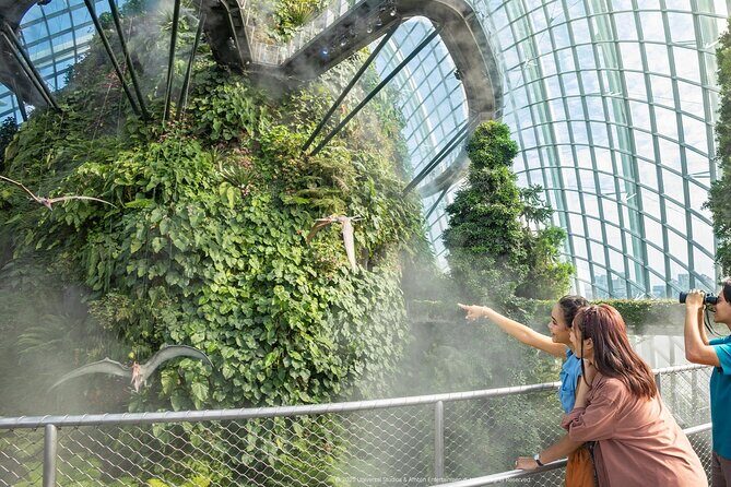 Singapore OCBC Skyway Flower dome Cloud Forest Garden by the Bay - Who Should Consider This Tour?