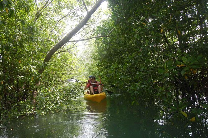 Singapore Paddle to Pedal Adventure in Pulau Ubin - An In-Depth Look at the Pulau Ubin Paddle to Pedal Adventure