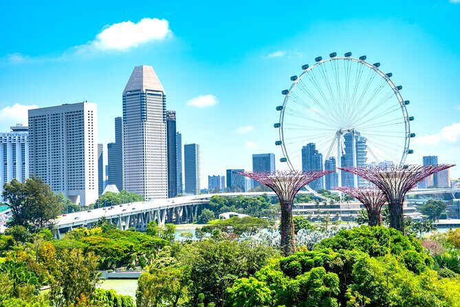 Singapore Private Customized City Tour with Driver - Why Consider This Tour?