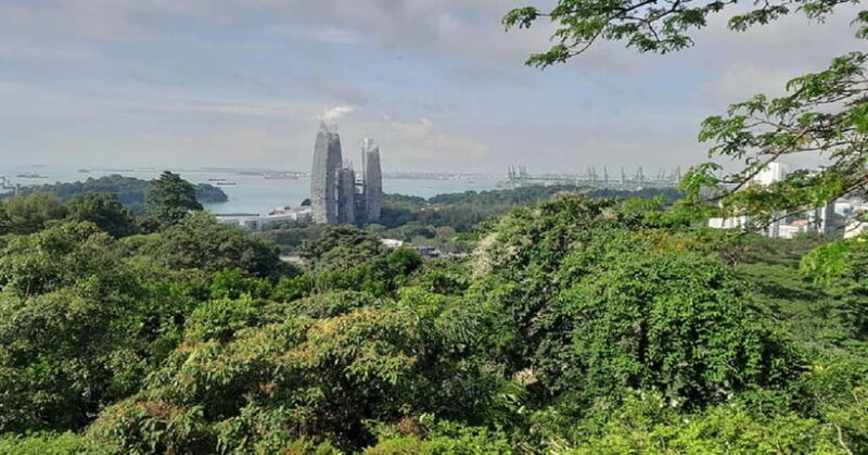 Singapore: Private Full-Day Island Tour - Introduction to the Tour