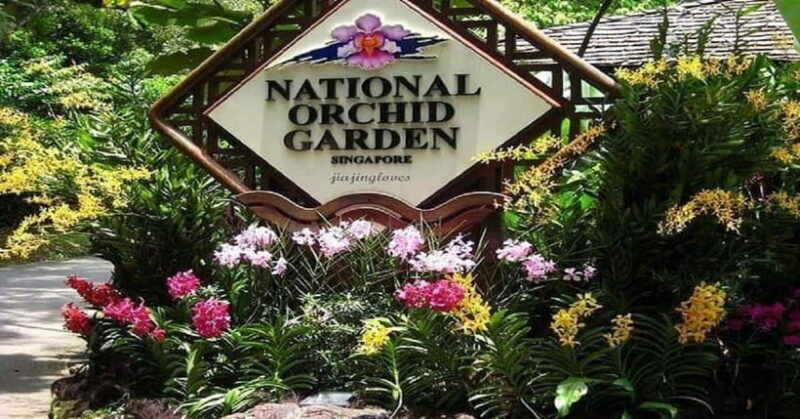 Singapore: Private Full-Day Island Tour - What’s Included and What’s Not