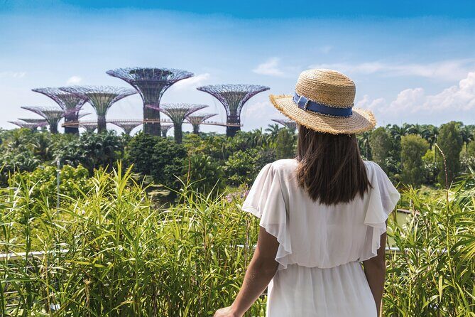 Singapore Private Professional Photoshoot at Gardens by the Bay - The Experience: What to Expect