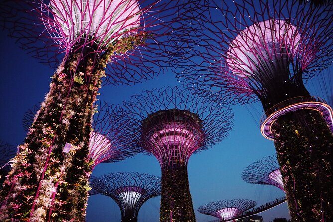 Singapore Private Tour with a Driver - Key Points