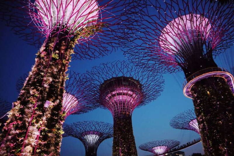 Singapore: Private Tour with a Local Guide - Key Points