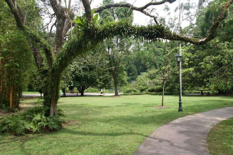 Singapore: Private Tour with a Local Guide - Price and Value