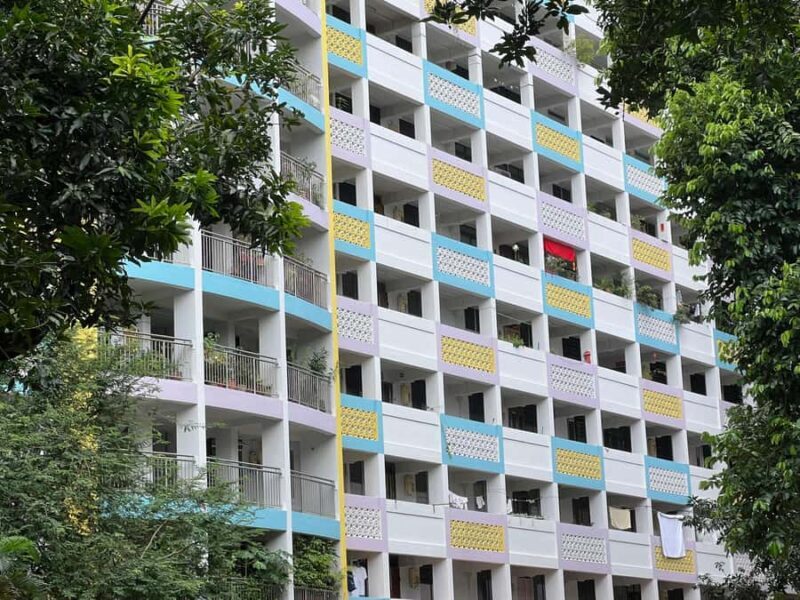 Singapore: Public Housing & Local Life Private Walking Tour - Key Points