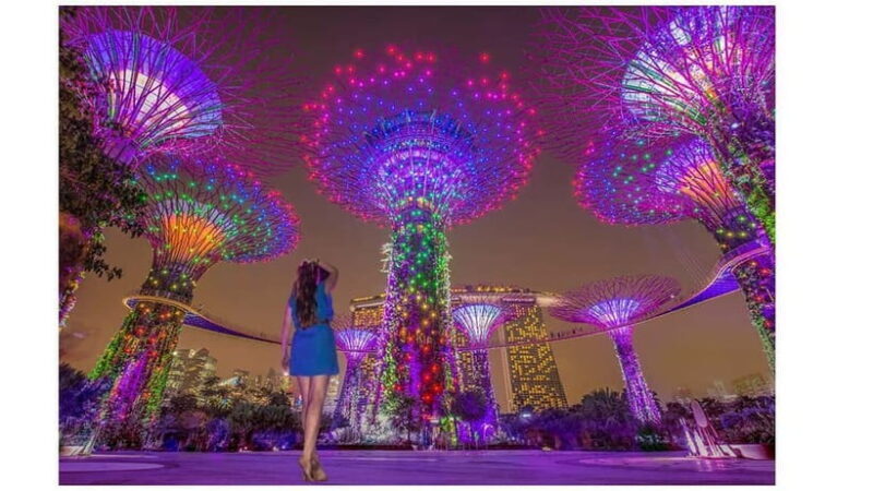 Singapore River Cruise, Spectra & Garden Rhapsody Light Show - Key Points