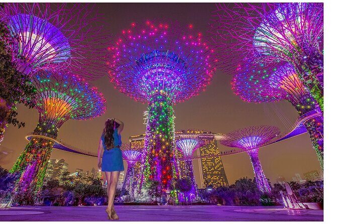 Singapore River Cruise with Spectra & Garden Rhapsody Light Show - Key Points