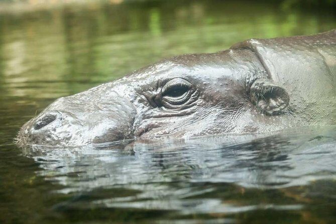 Singapore River & Night Safari-COMBO (Shared Transfer) - Who Will Love This Tour?