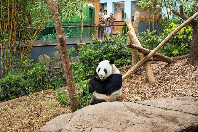 Singapore: River Wonders Entry Ticket - Introduction: What to Expect from River Wonders