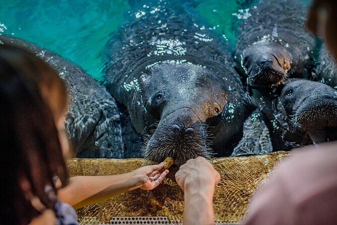 Singapore: River Wonders Entry Ticket - The Practical Details: What You Need To Know