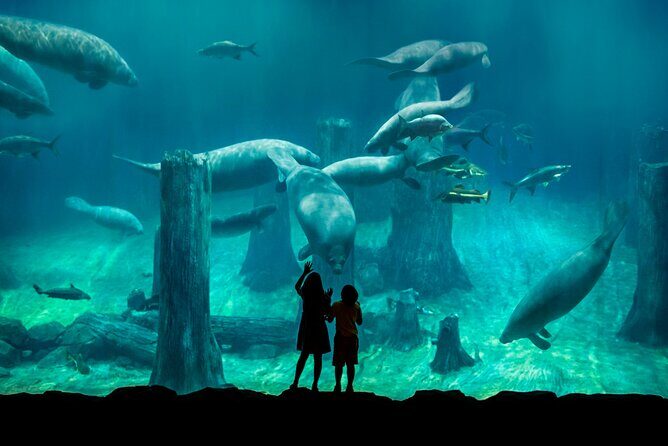 Singapore: River Wonders Entry Ticket - Who Should Consider Visiting River Wonders?