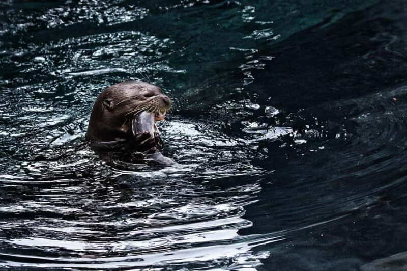 Singapore: River Wonders - Key Points