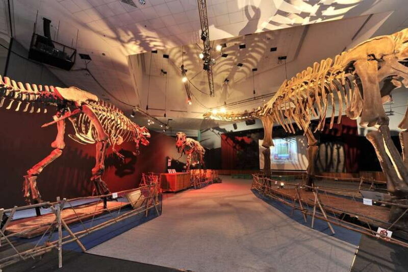 Singapore: Science Center E-Ticket - What to Expect at the Science Center Singapore
