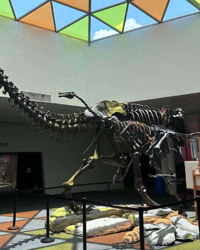 Singapore: Science Center E-Ticket - The Itinerary: What You’ll Likely Encounter