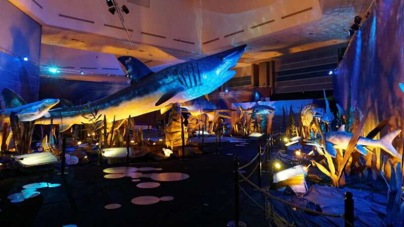 Singapore: Science Center E-Ticket - FAQ