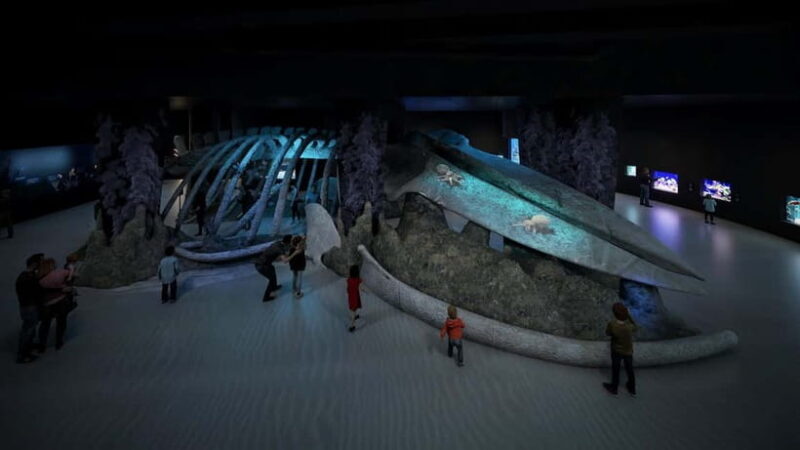 Singapore: Singapore Oceanarium Entrance E-Ticket - Key Points