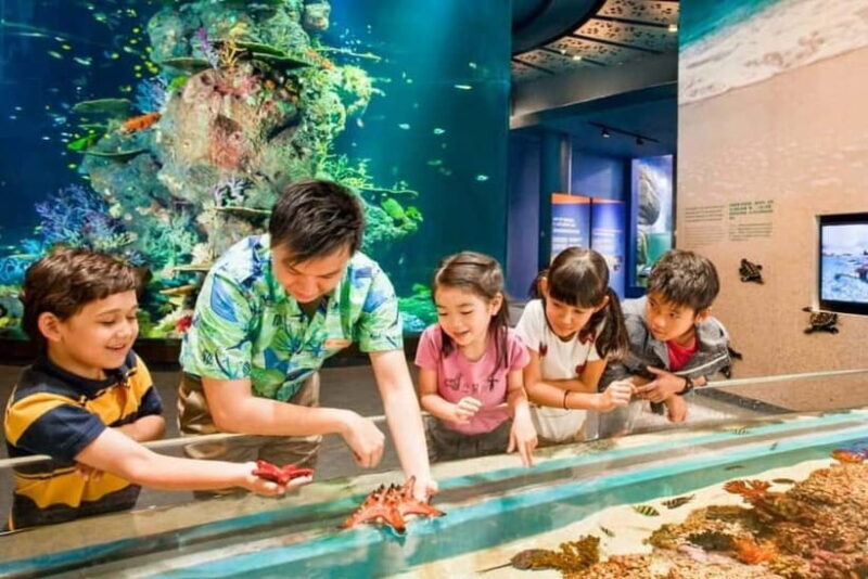 Singapore: Singapore Oceanarium Entrance E-Ticket - A Practical Overview of the Singapore Oceanarium Experience